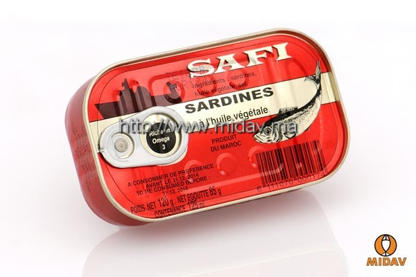 Canned Sardine Mackerel Tuna Safi Morocco