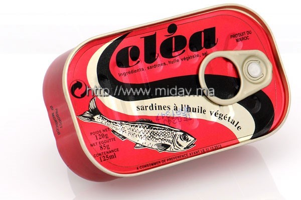 Canned Sardine Mackerel Tuna Safi Morocco
